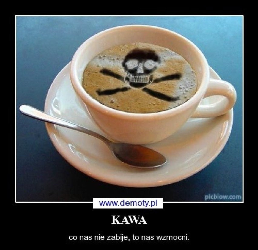 Memy o kawie i kawoszach | Głos Wielkopolski