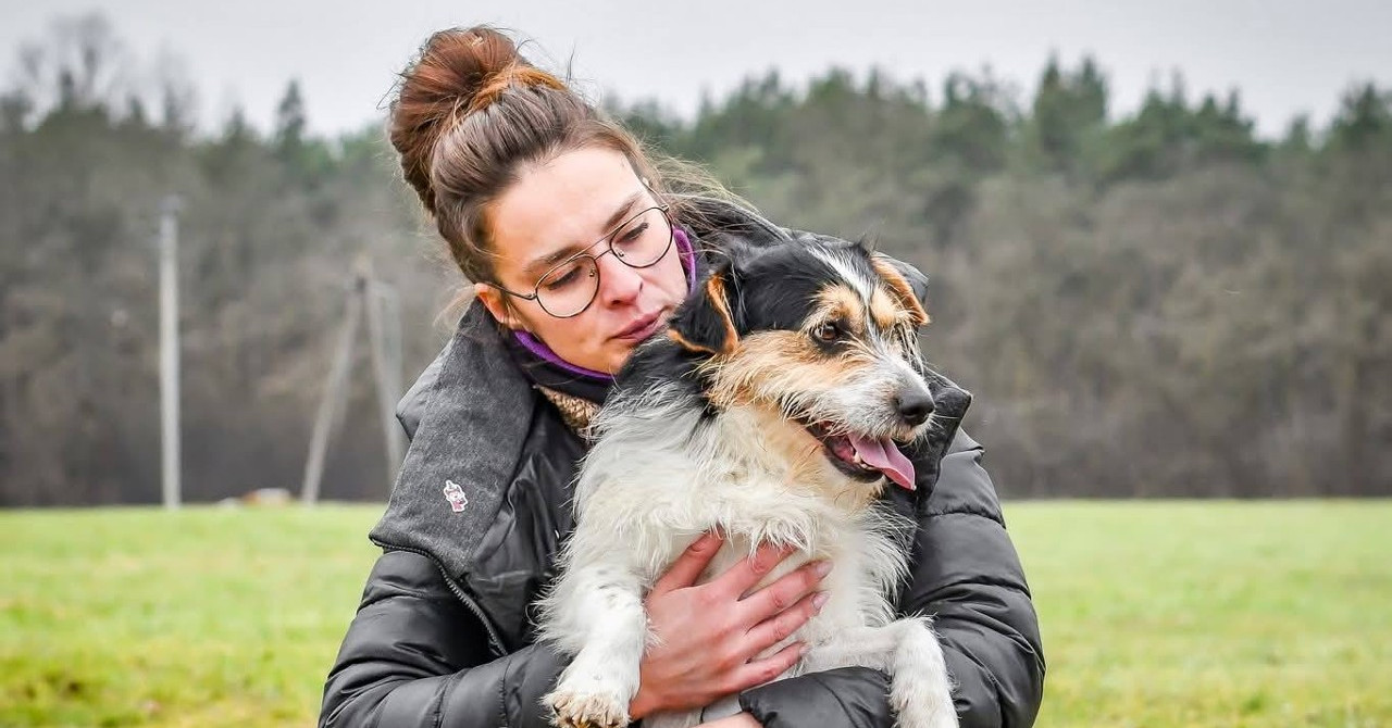 Psy ze Schroniska dla Bezdomnych Zwierząt w Radomiu czekają na adopcje ...
