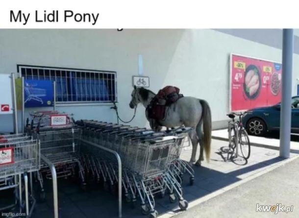 Biedronka kontra Lidl. Te memy rozbawią każdego, kto robi zakupy [14.01 ...