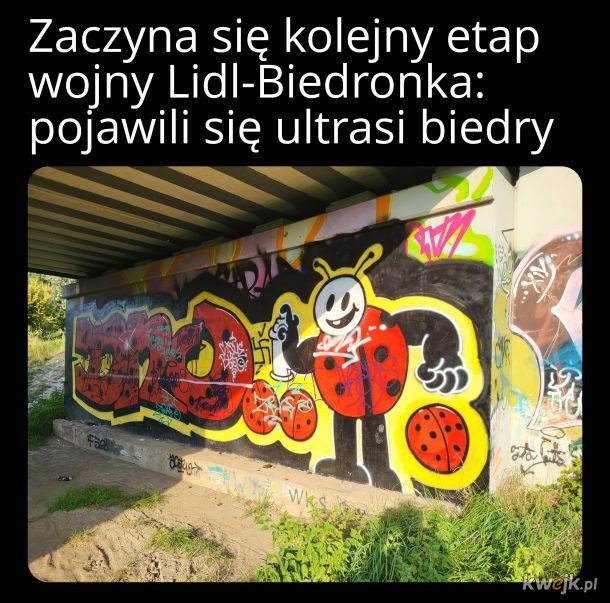 Biedronka kontra Lidl. Te memy rozbawią każdego, kto robi zakupy [14.01 ...