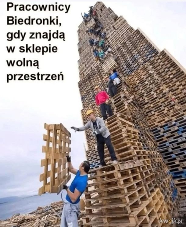 Biedronka kontra Lidl. Te memy rozbawią każdego, kto robi zakupy [14.01 ...