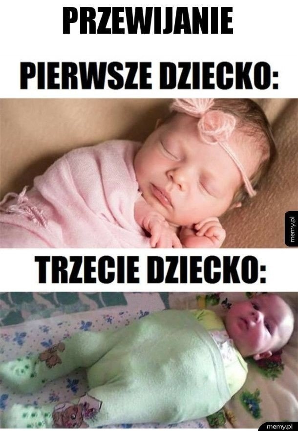 Najlepsze memy o rodzinie | Głos Wielkopolski
