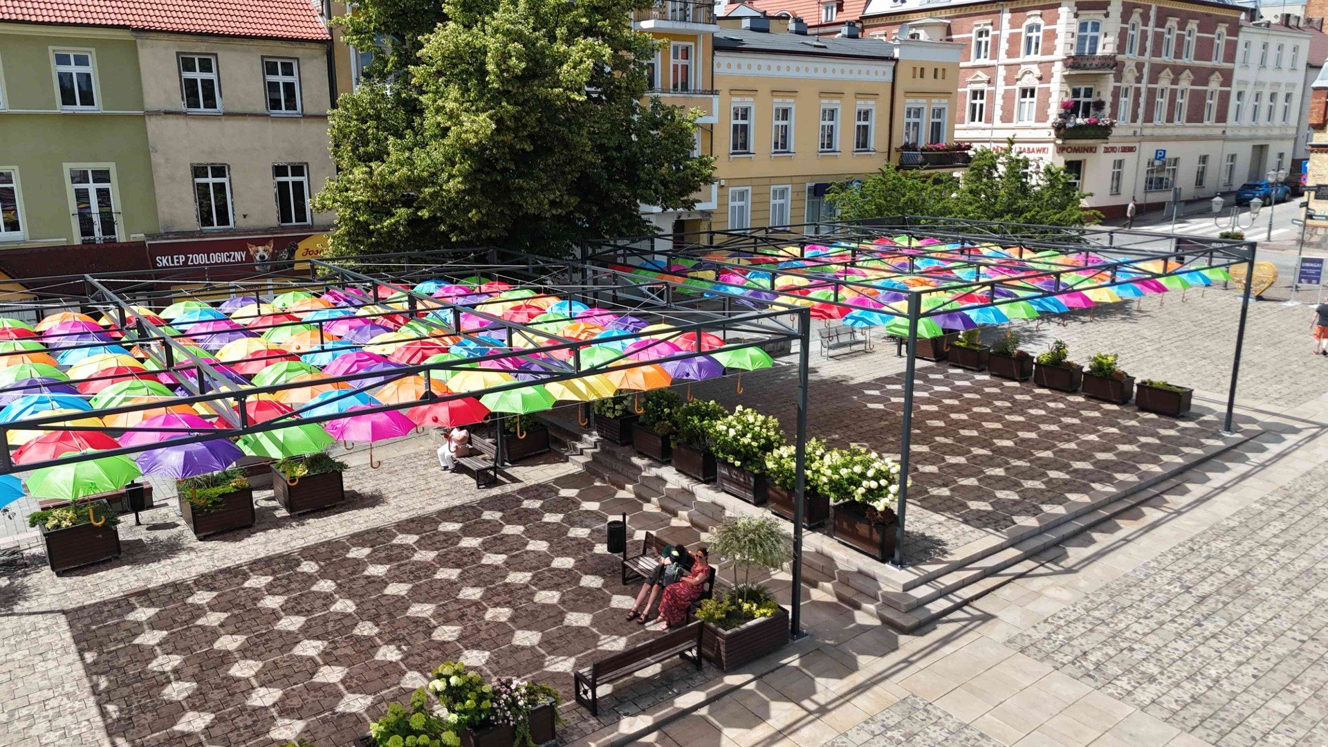 Duży Rynek w Świeciu zakwitł w parasole. Jest pięknie - zobacz zdjęcia ...