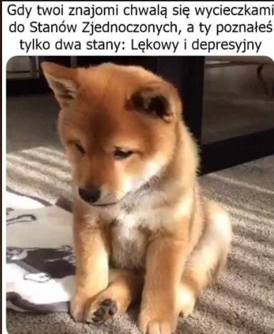 Oto najlepsze MEMY! Rozbawią do łez każdego. Te śmieszne obrazki ...