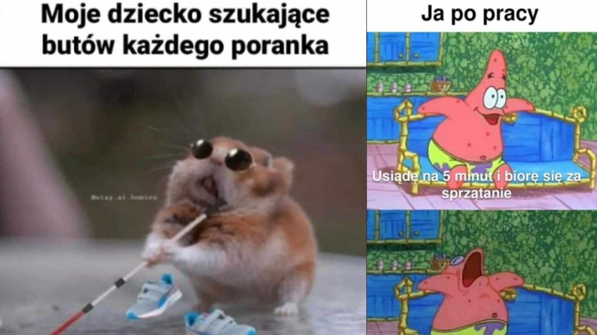 Memy na poprawę humoru – zabawne obrazki z życia wzięte. Dowiedz się ...