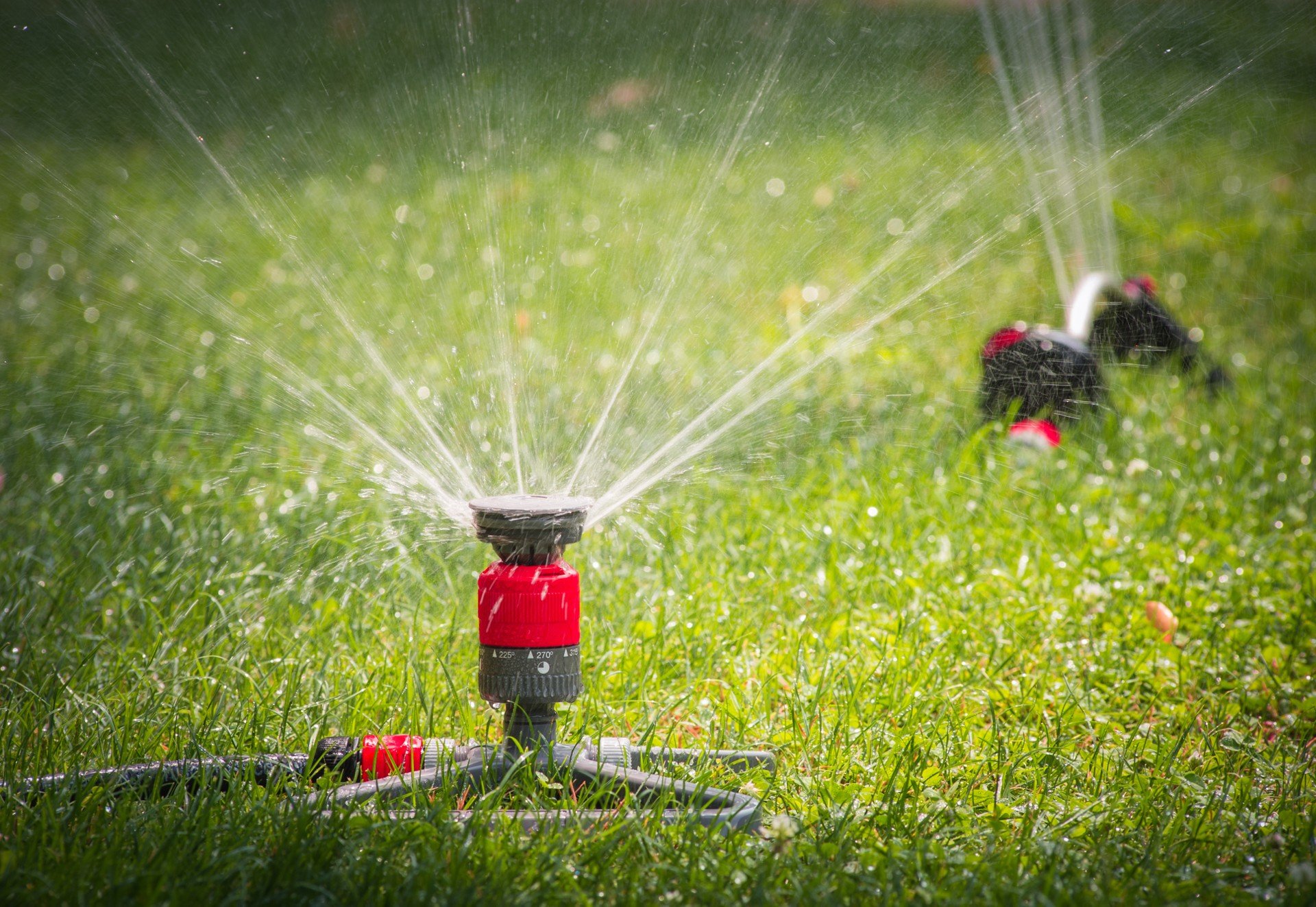 Skuteczne nawadnianie trawnika. Jak wybrać i zamontować system ...
