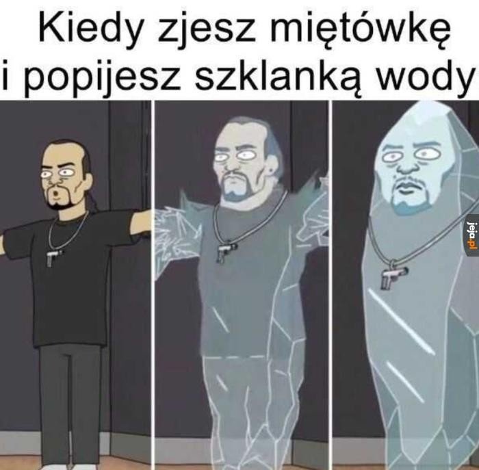 Najlepsze MEMY o życiu | Głos Wielkopolski