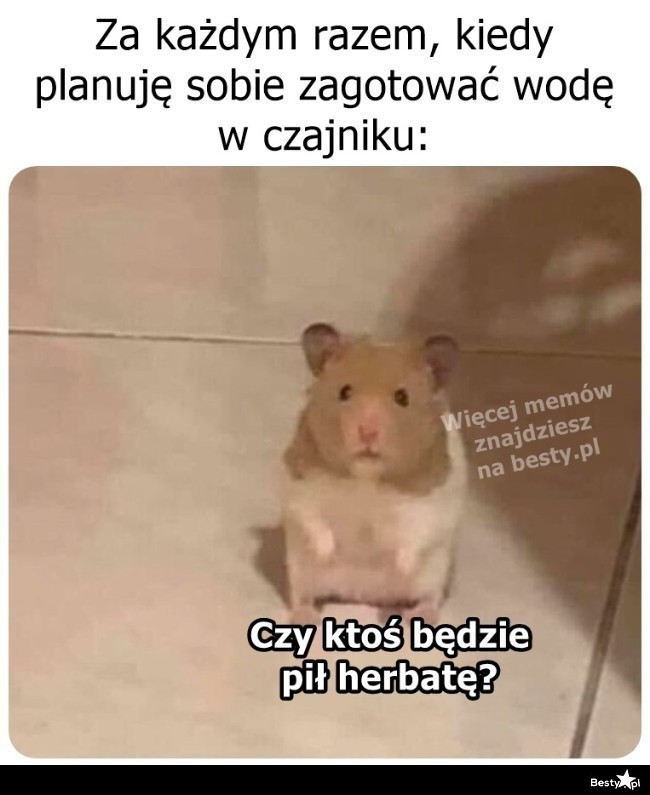 Najlepsze MEMY o życiu | Głos Wielkopolski