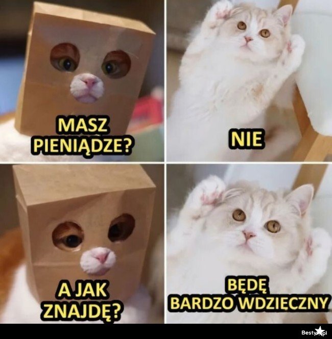 Najlepsze MEMY o życiu | Głos Wielkopolski