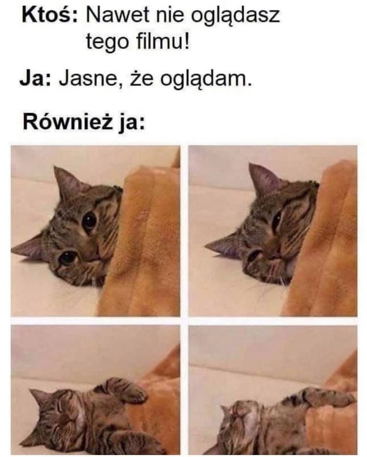 Najlepsze MEMY o życiu | Głos Wielkopolski
