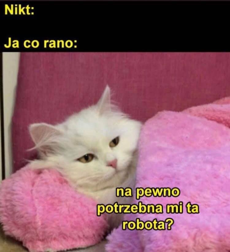 Najlepsze MEMY o życiu | Głos Wielkopolski