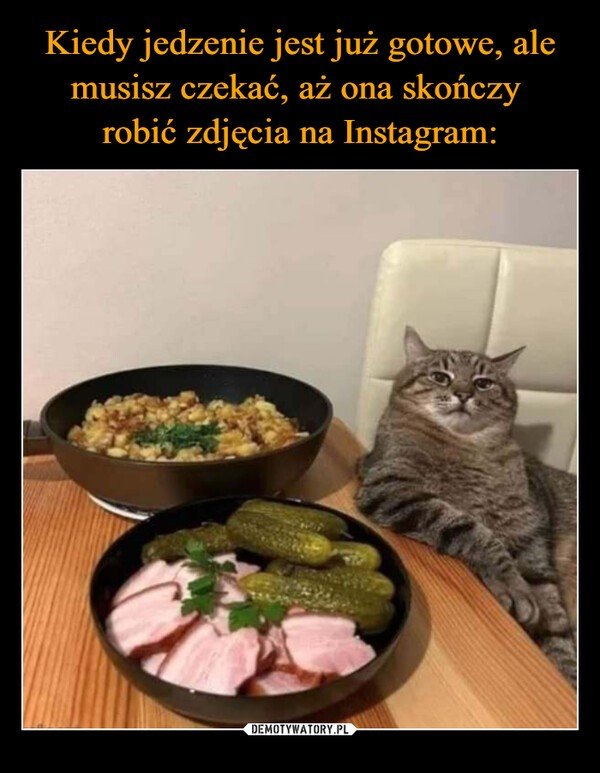 Najlepsze MEMY o życiu | Głos Wielkopolski