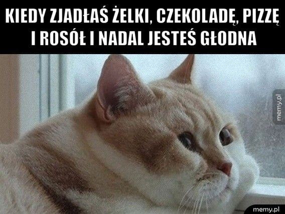 Najlepsze MEMY o życiu | Głos Wielkopolski