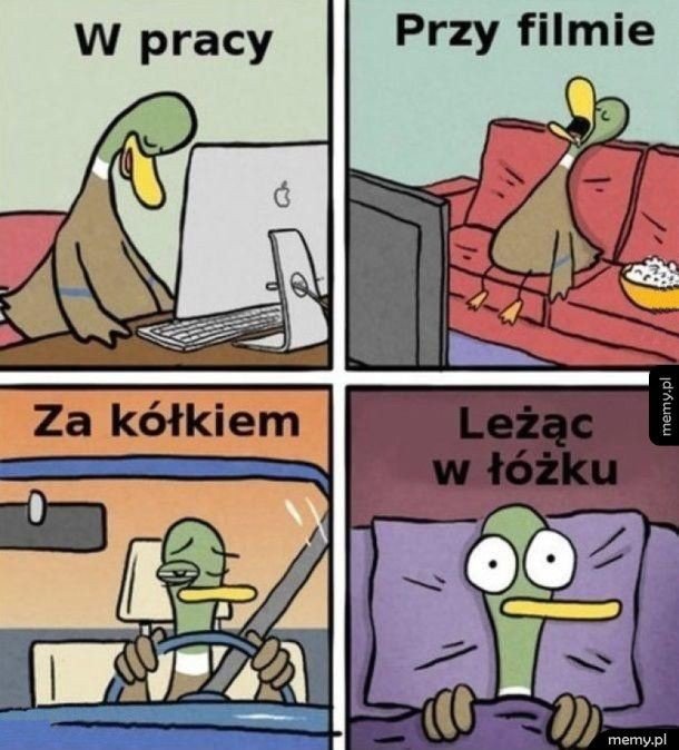 Najlepsze MEMY o życiu | Głos Wielkopolski