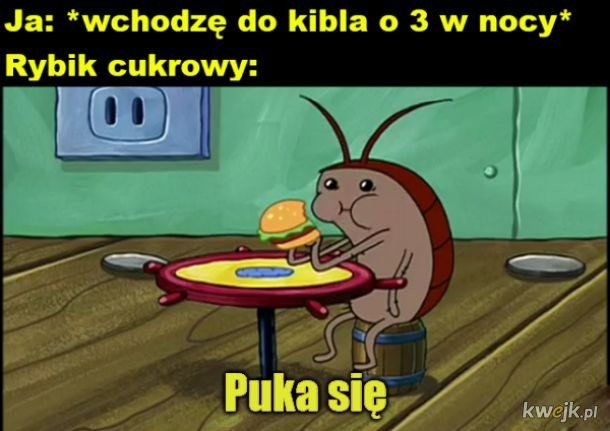Najlepsze MEMY o życiu | Głos Wielkopolski