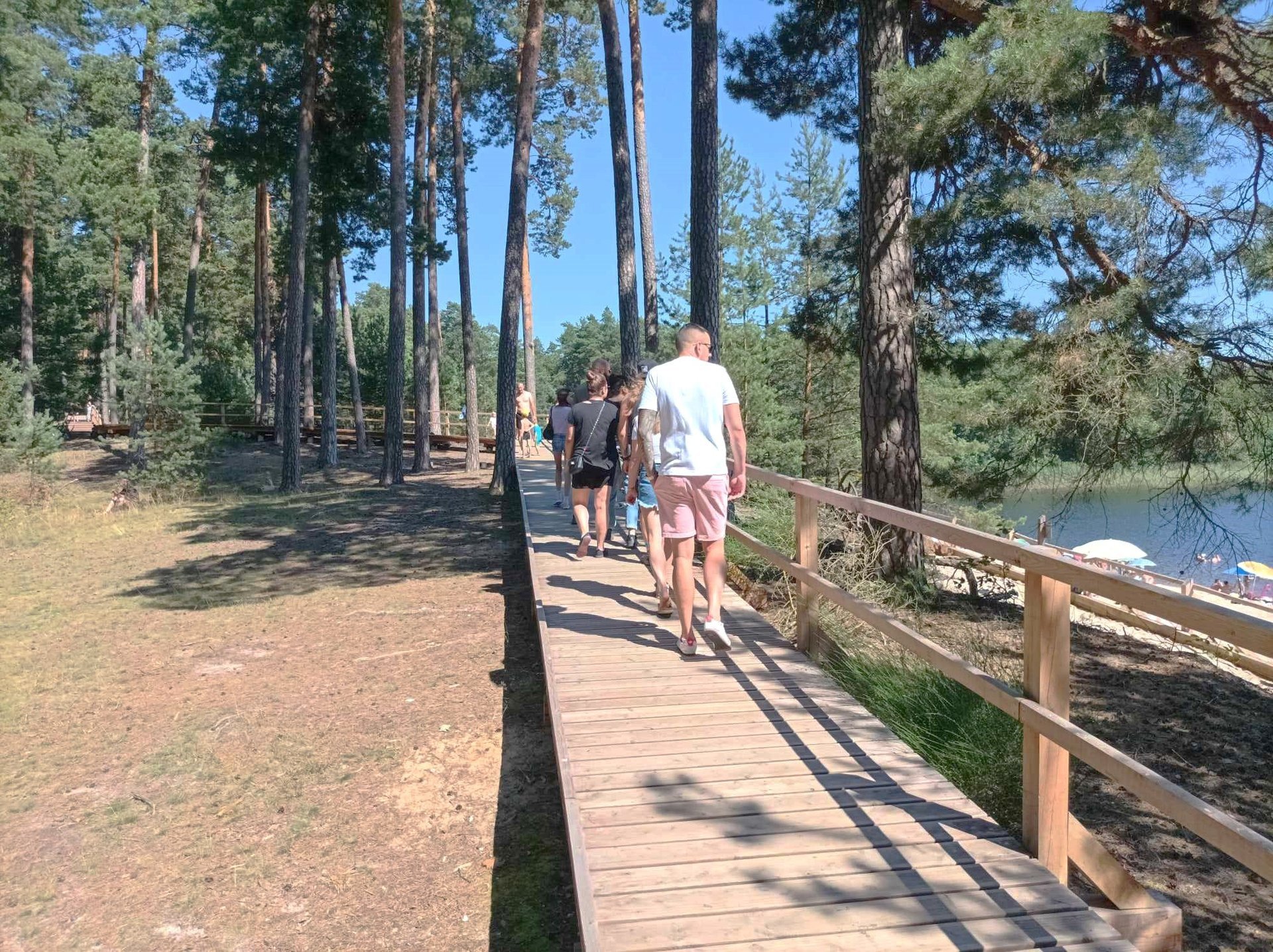 Obok stawów "Echo". Spacer na zwierzyniecką Piaseczną Górę. Piękno ...